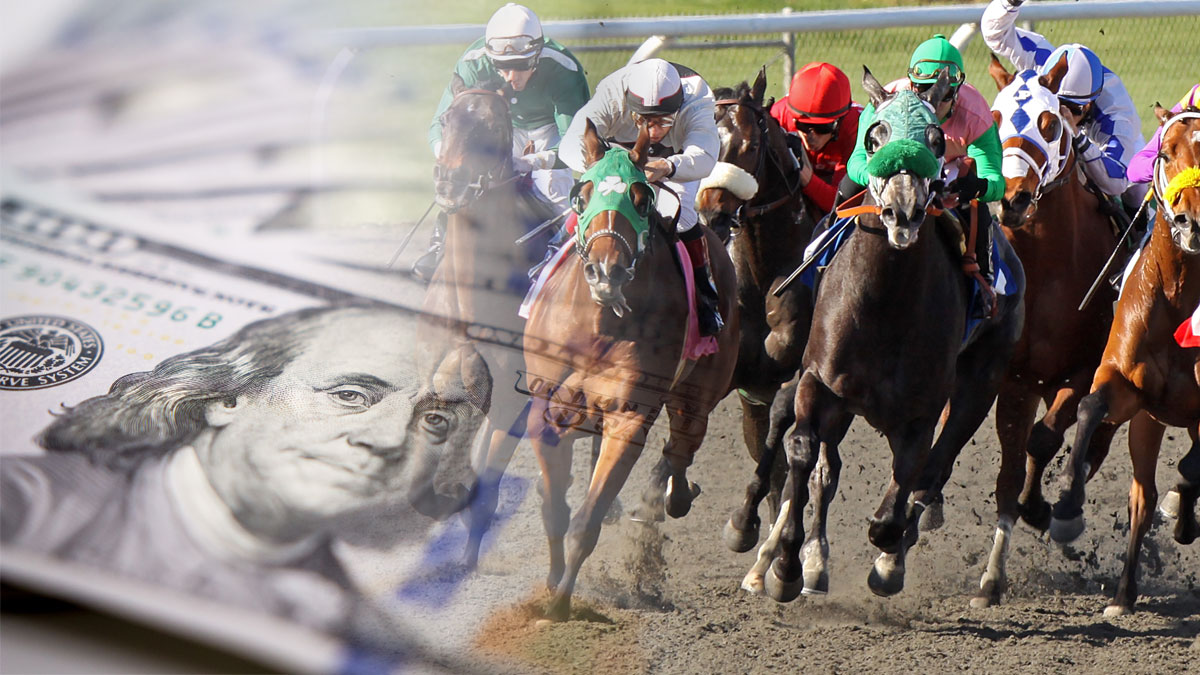 How a group of horse gamblers taught us a critical blind spot in ...